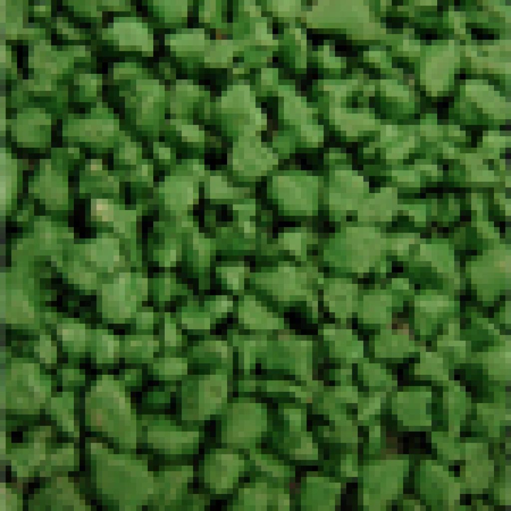 Colores y Acabados Concreto Permeable - Concretos Ecológico de México ...