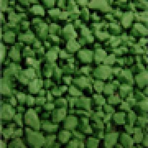 Colores y Acabados Concreto Permeable - Concretos Ecológico de México ...