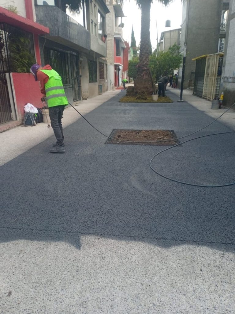 arbolillo-12 | Concreto Permeable | Ecocreto de México