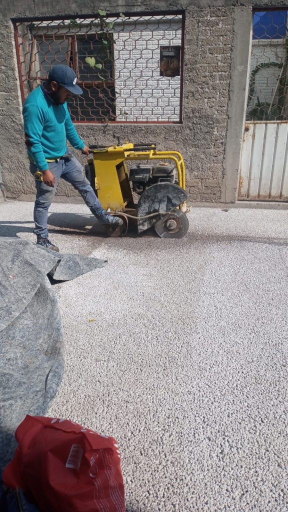 arbolillo-7 | Concreto Permeable | Ecocreto de México