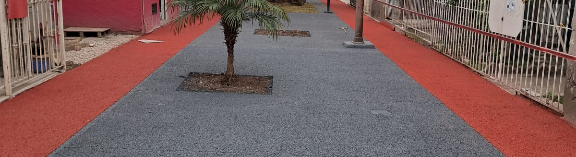 arbolillo-13 | Concreto Permeable | Ecocreto de México