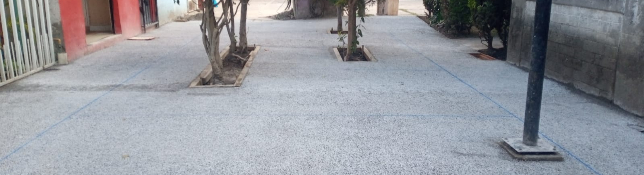 arbolillo-5 | Concreto Permeable | Ecocreto de México