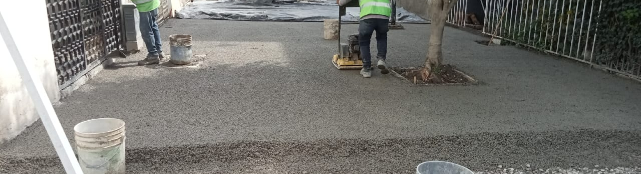 arbolillo-8 | Concreto Permeable | Ecocreto de México