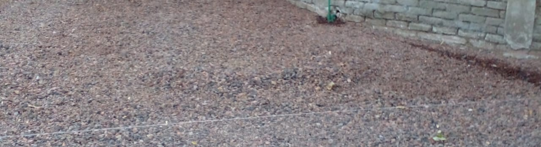 rancho-oyamel-18 | Concreto Permeable | Ecocreto de México